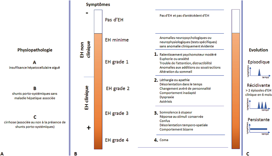 Encéphalopathie hépatique – FMC-HGE